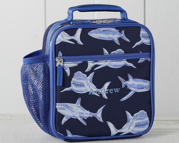 Best Lunchboxes for Kids in Elementary School | Family Recipes and Kid ...