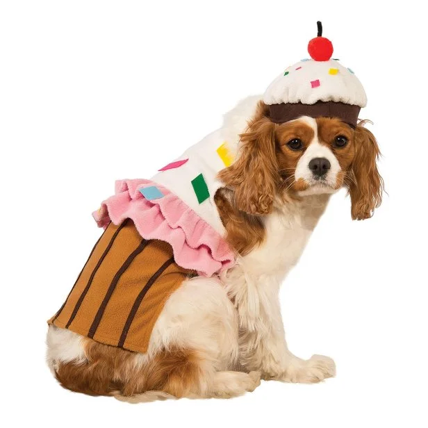 7 Food-Themed Halloween Costumes for Pets | Food Network