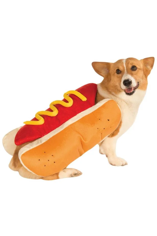 7 Food-Themed Halloween Costumes for Pets | Food Network