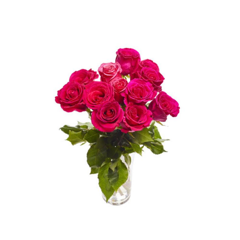 10 Best Groceries from Lidl | Shopping | Food Network