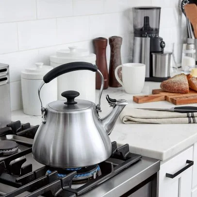 5 Best Electric Kettles and Tea Kettles 2024 Reviewed Food Network