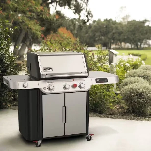 5 Best Gas Grills 2025 Reviewed | Food Network