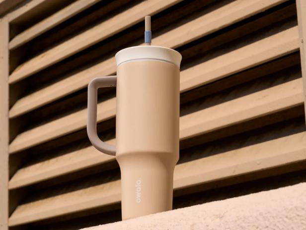 Best Stanley Cup Tumbler Alternatives | Shopping | Food Network