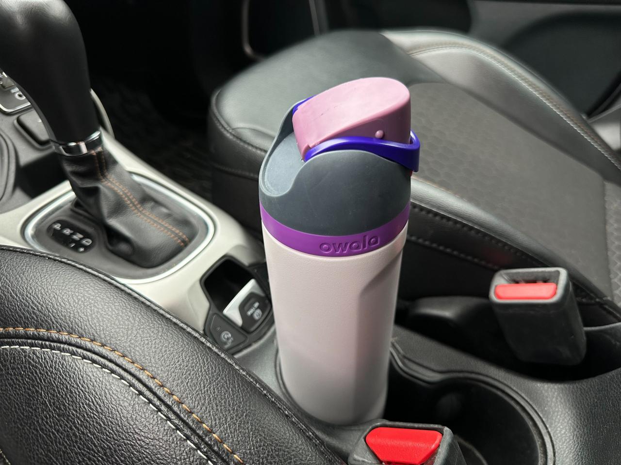 Our Honest Owala FreeSip Review 2024 | Shopping | Food Network