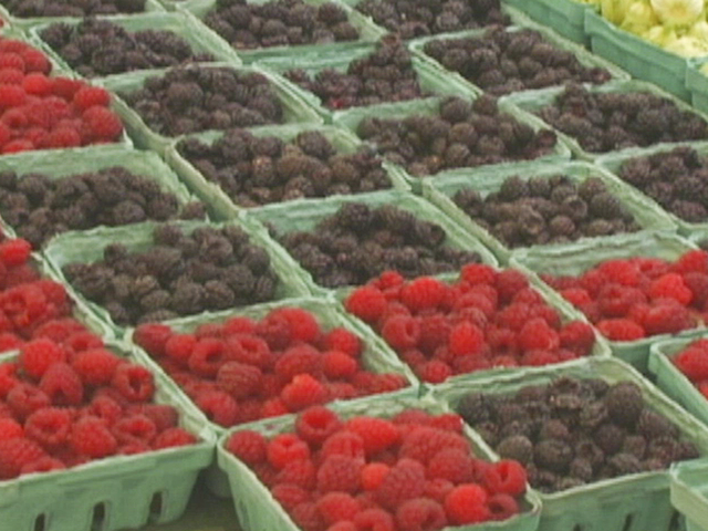 Peach Fool Recipe - Chef's Resource Recipes