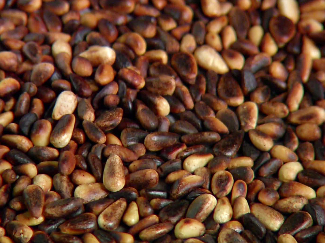 Microwave Toasted Pine Nuts Recipe - Chef's Resource Recipes