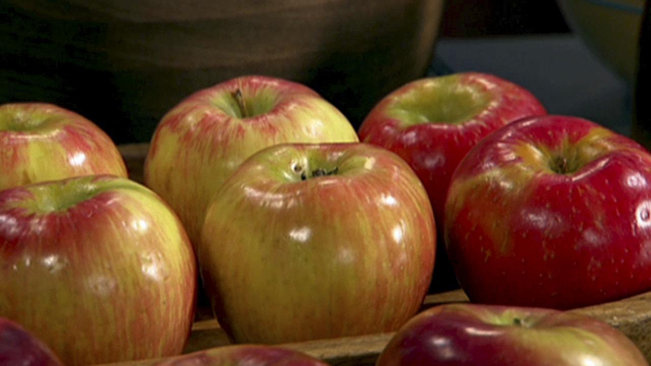 Why We Love Apples | Food Network